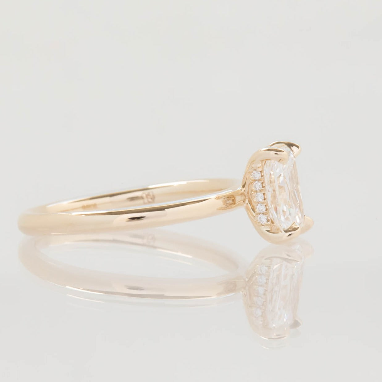 Lana Hidden Halo Ring – Stag & Finch